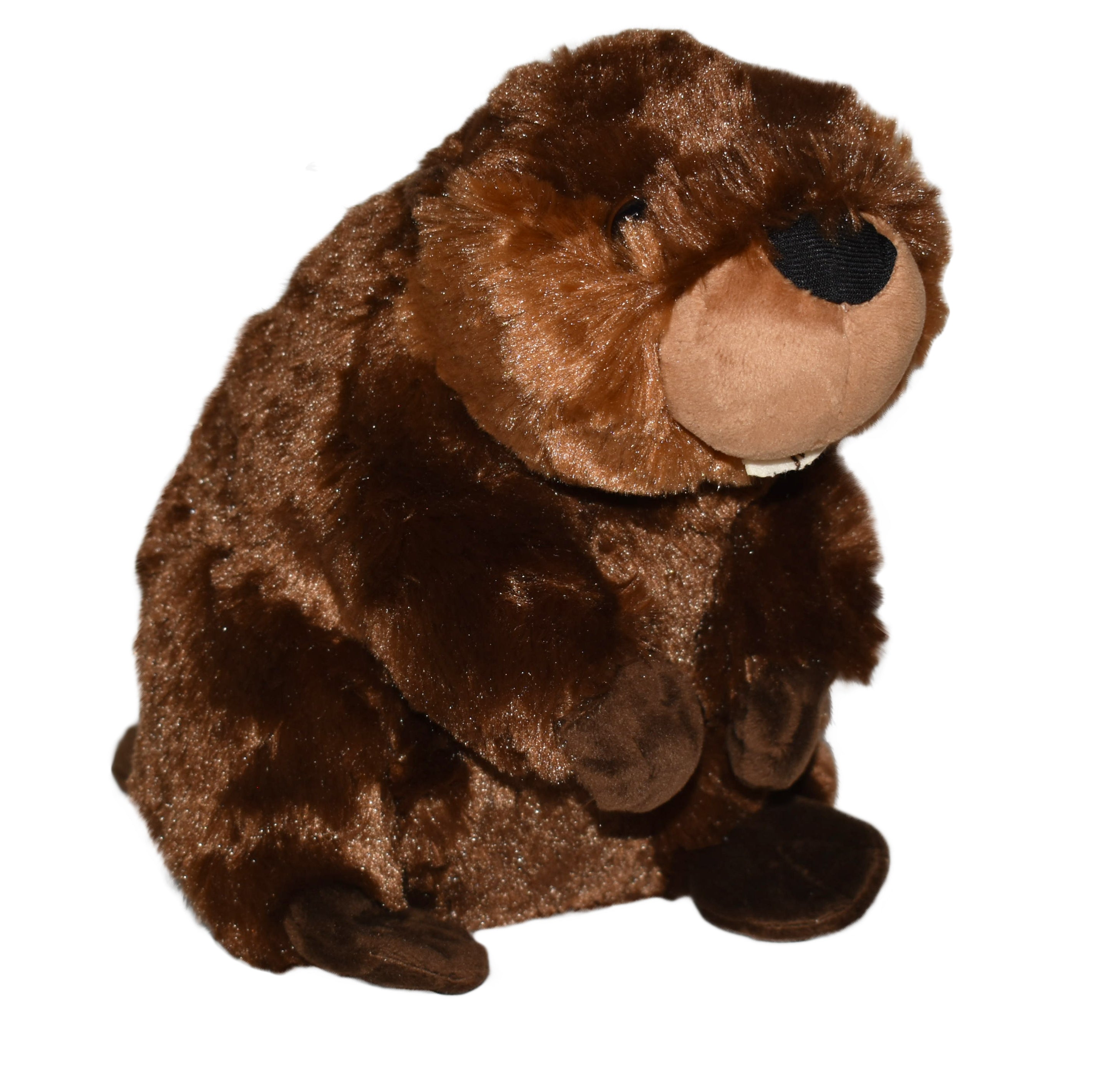 CK Beaver - 12" – Sir Troy's Toy Kingdom
