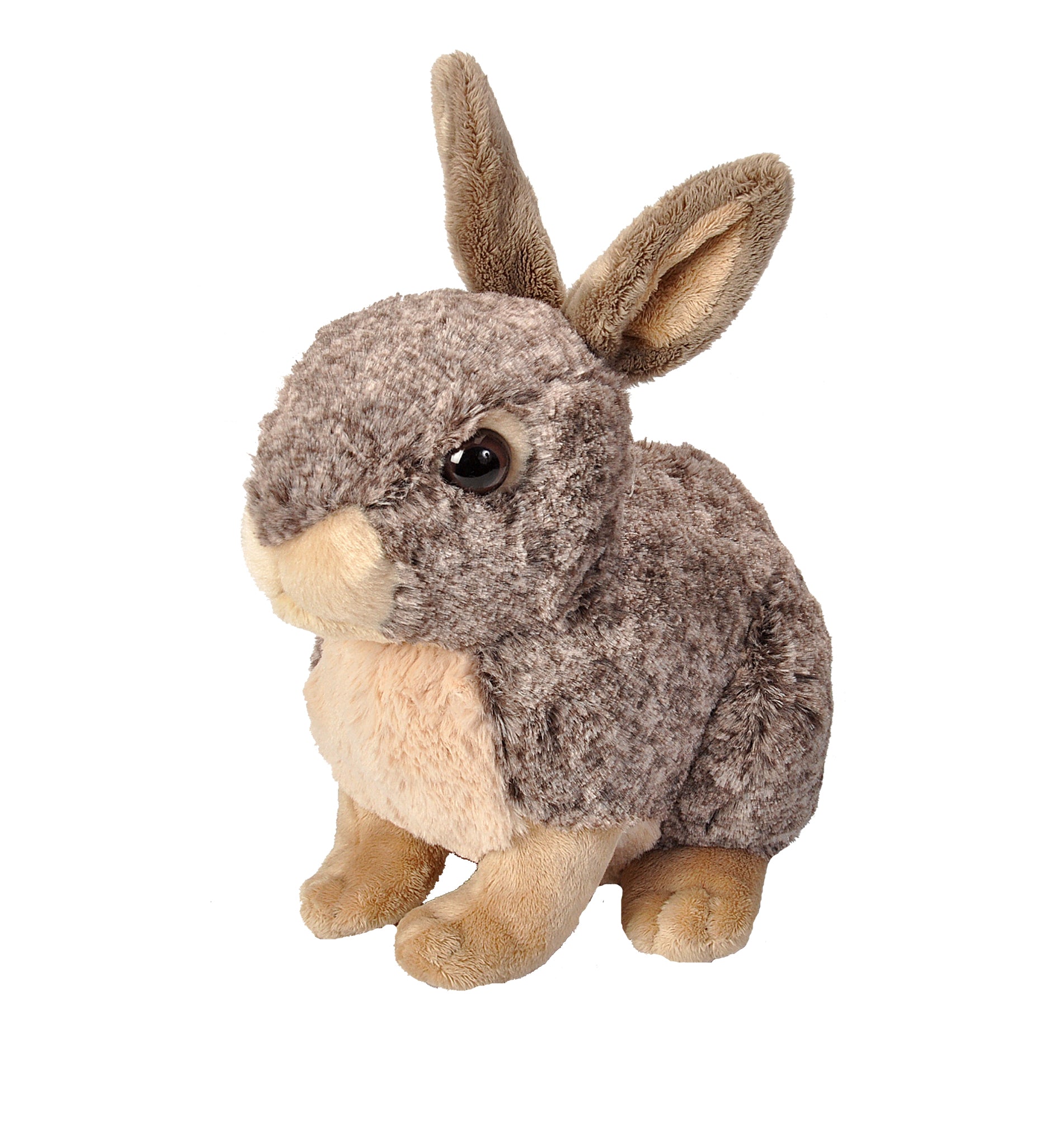 Ck Rabbit - 12" – Sir Troy's Toy Kingdom