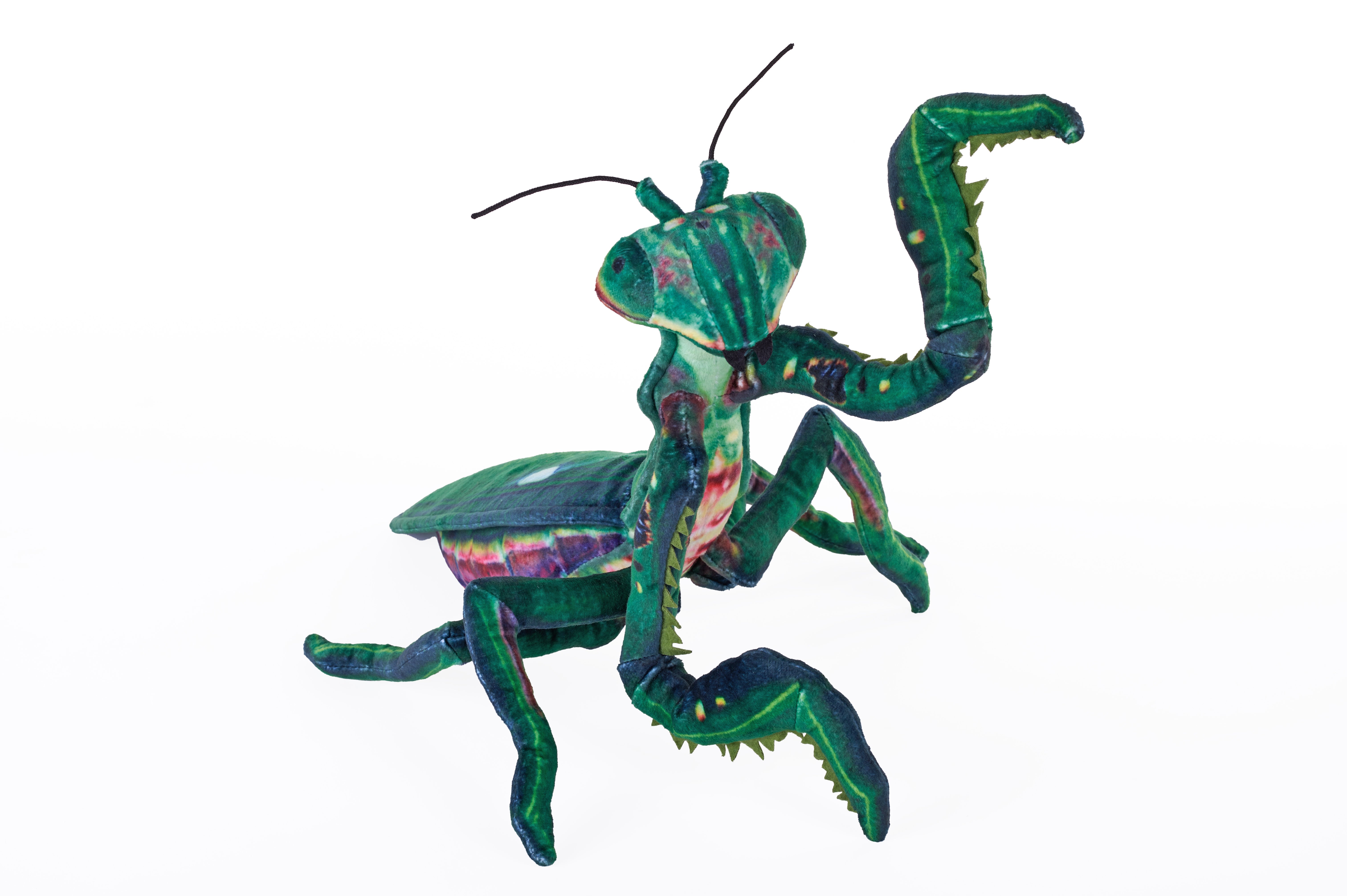 Living Praying Mantis 16" – Sir Troy's Toy Kingdom
